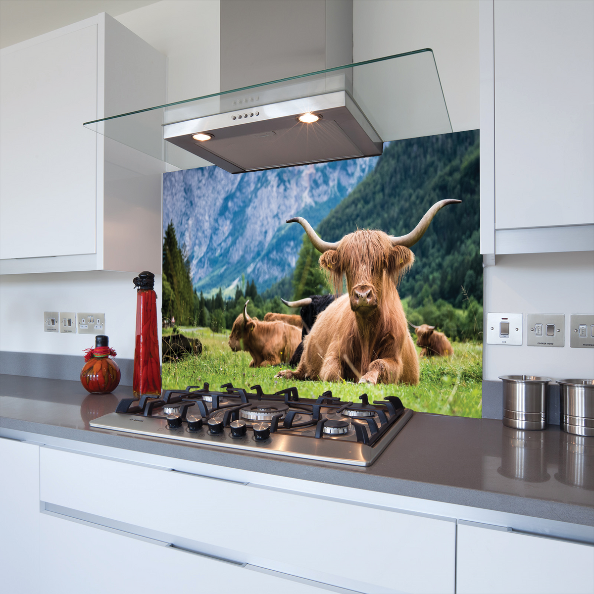 Highland Cows Printed Splashback | Bespoke Glass Products